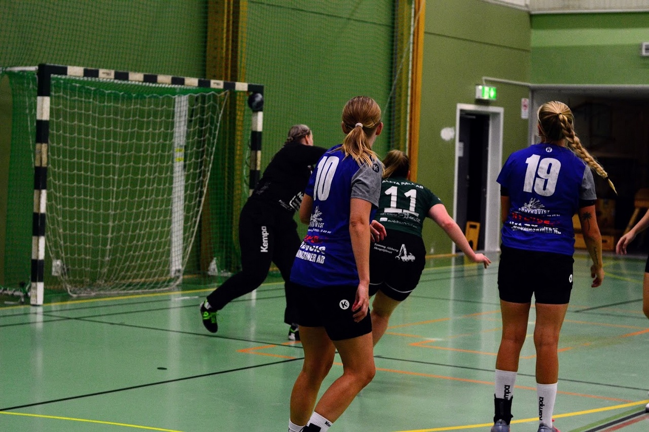 Alfta GIF Handboll - Div 2 Damer