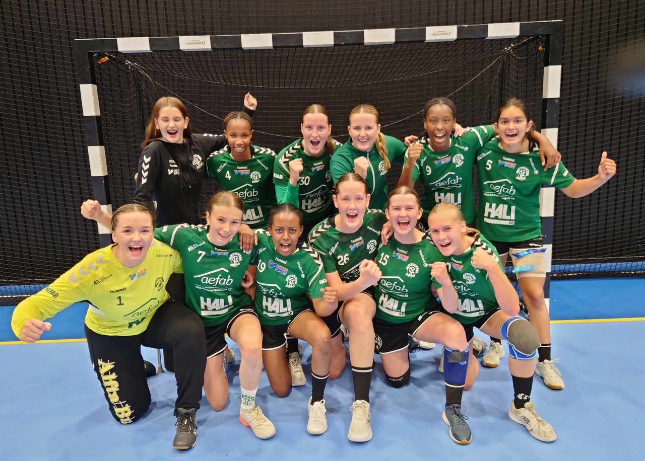 Alfta GIF Handboll - Div 2 Damer